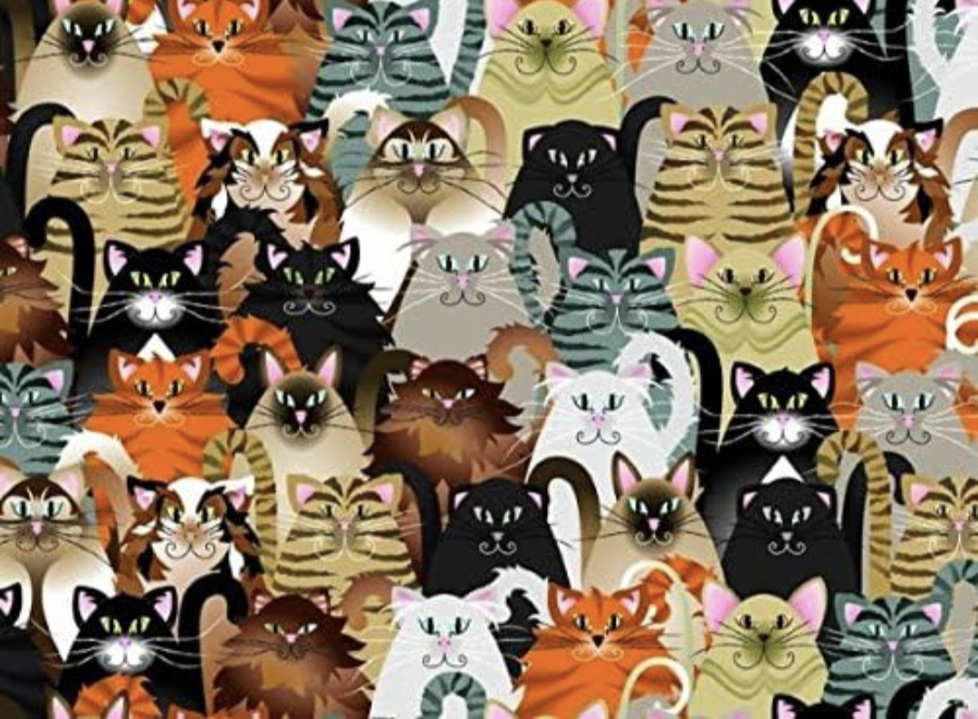 Andrews + Blaine Cat Collage 1000 pieces | MySpeedPuzzling